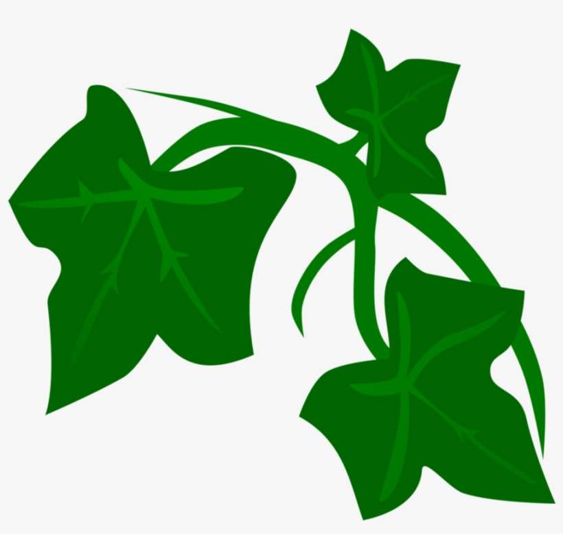 Download Poison Ivy Logo Png Jpg Library Library - Poison Ivy Plant ...