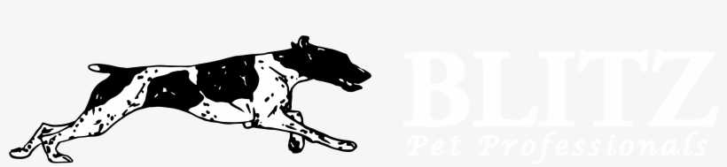 Blitz Pet Professionals - Dog PNG Image | Transparent PNG Free Download ...
