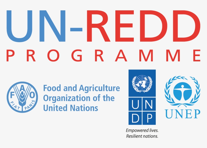 Download Un Redd Programme Logo | Transparent PNG Download | SeekPNG