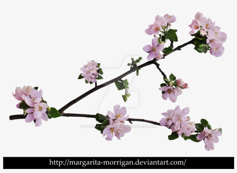 Apple Blossom Tree Clipart
