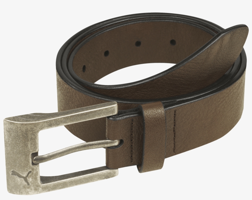 Download Belt Png9574 - Belt Clipart Transparent Background ...