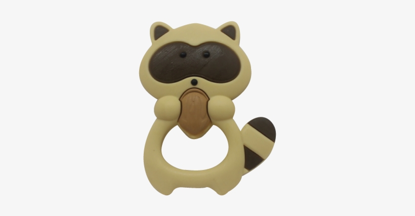 Raccoon - Pacifier PNG Image | Transparent PNG Free Download on SeekPNG