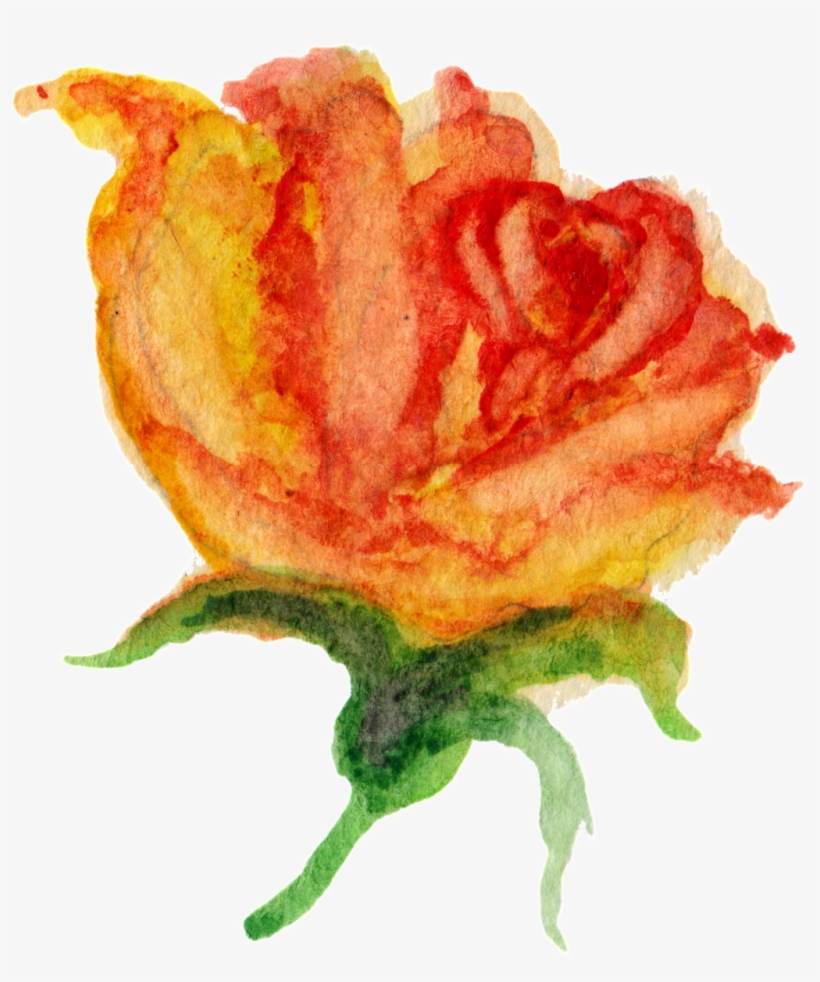 Watercolor Doodle Floral Transparent Decorative - Watercolor Painting ...