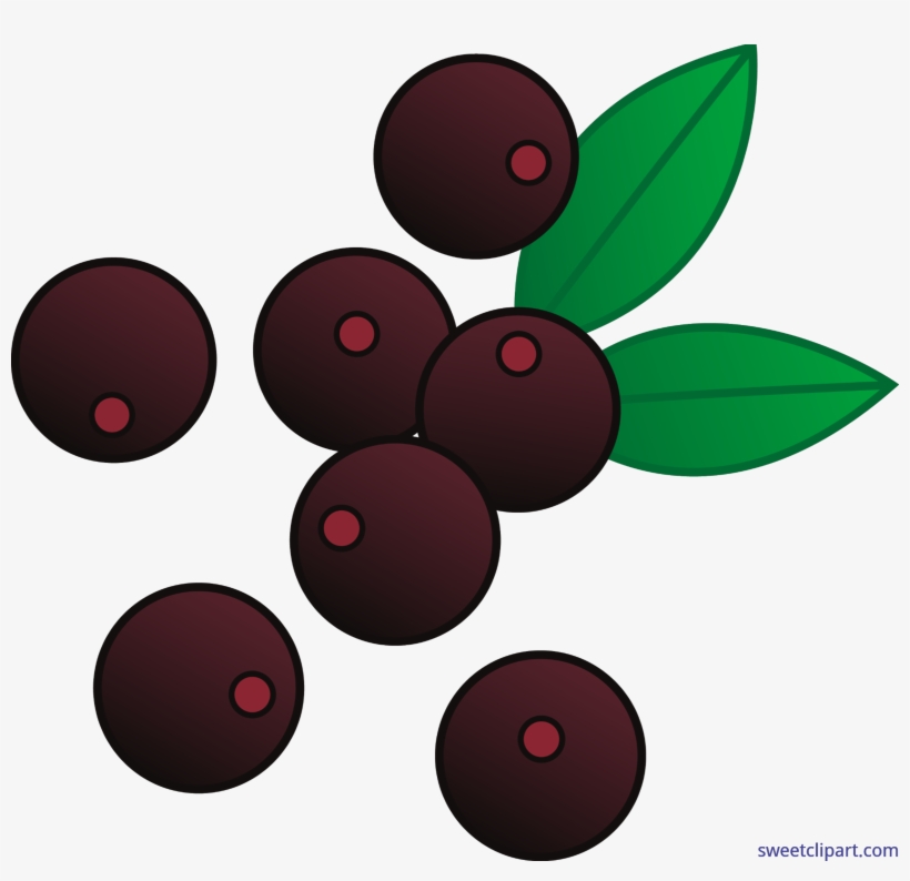 Download Berry Vector Watercolor - Clip Art Red Berries | Transparent ...