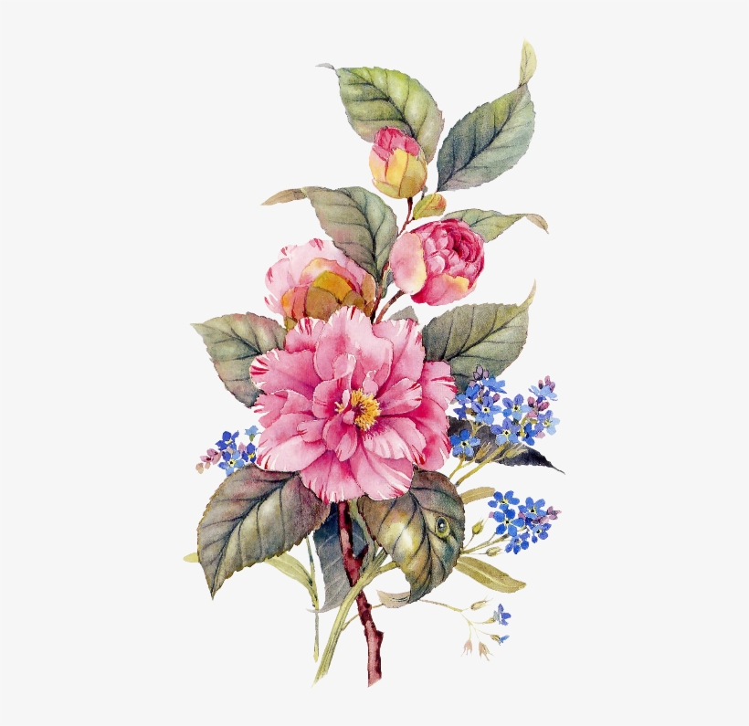 Botanical Flowers PNG Image | Transparent PNG Free Download on SeekPNG