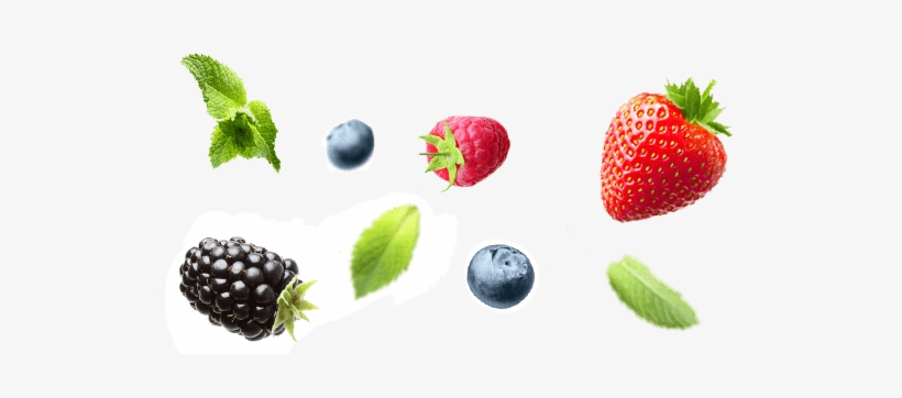 Mike & Mike's Toronto Ontario Organic Food Distributor - Fruits Top ...