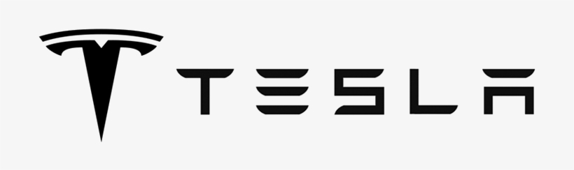 Download Elon Musk Tesla Logo | Transparent PNG Download | SeekPNG