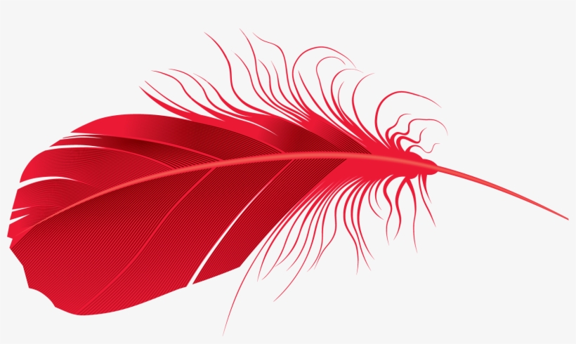 Red Feather Transparent Background PNG Image | Transparent PNG Free ...