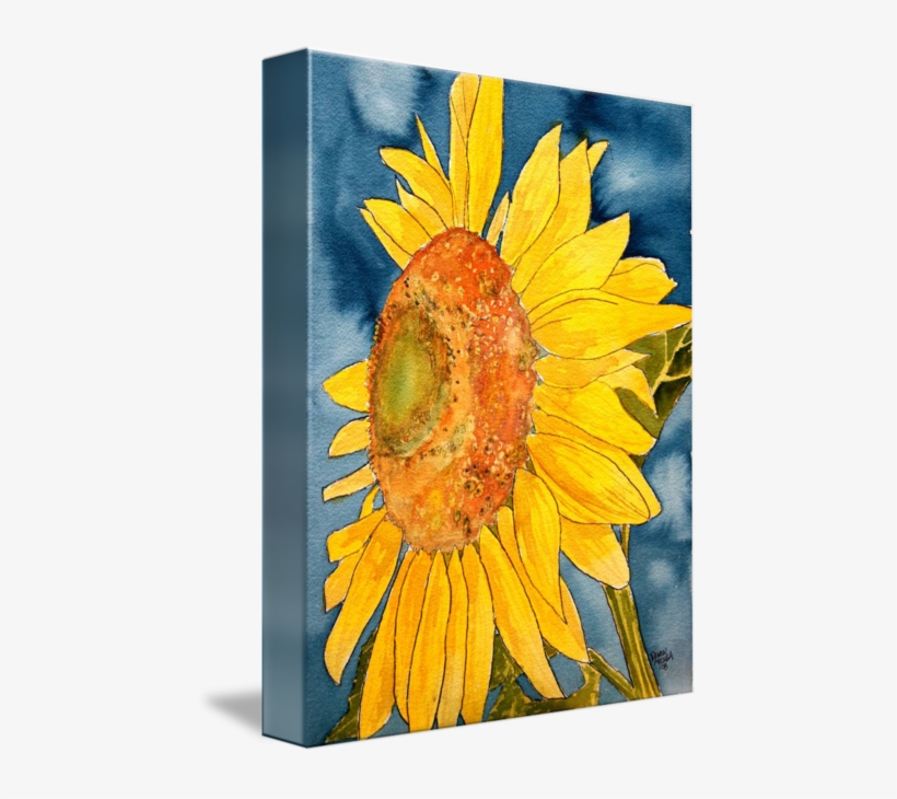Sunflowers Png Simple Watercolor - Gallery-wrapped Canvas Art Print 11 X 14 Entitled Sunflower ...