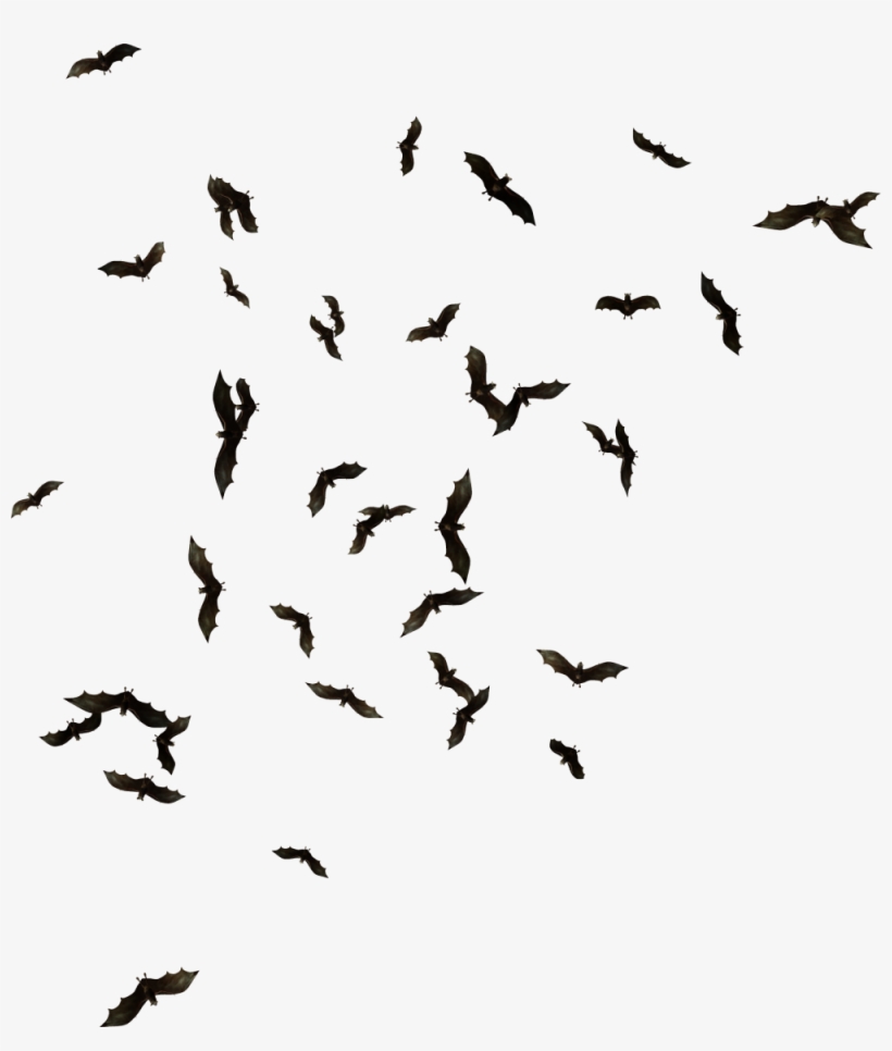 Download Bats Png Picture Library Download - Batman Bats Png ...