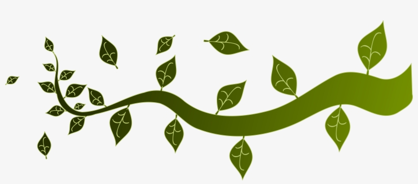 Rtdad5gt9 - Vector Tree Branch Png PNG Image | Transparent PNG Free ...