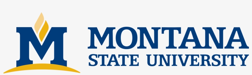 Msu Logo - Montana State University Bozeman Logo PNG Image ...