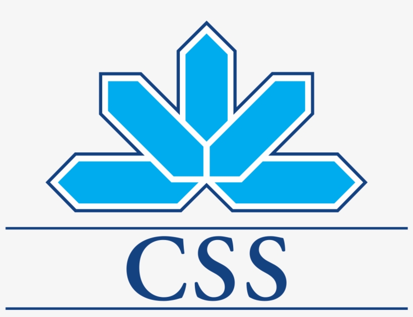 Download Css Logo | Transparent PNG Download | SeekPNG