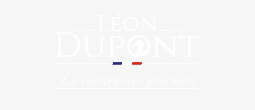 Documentary Film PNG Image | Transparent PNG Free Download on SeekPNG