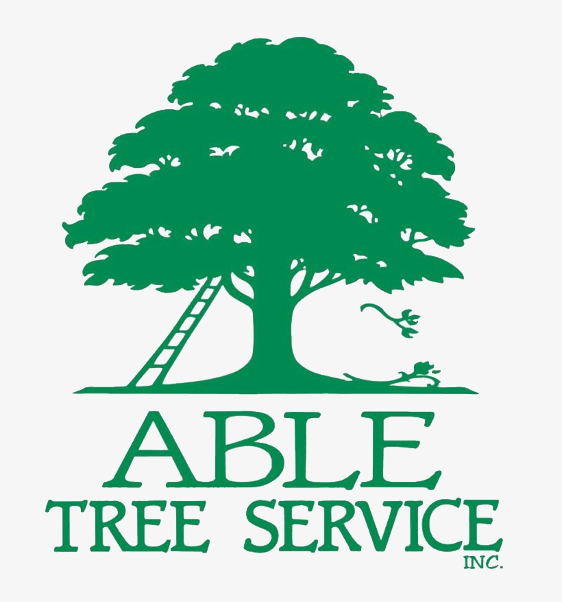 Able Tree Service PNG Image | Transparent PNG Free Download on SeekPNG