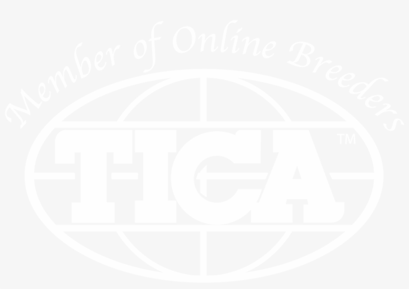 Download Tica Logo - Name Logo Empty Background | Transparent PNG ...