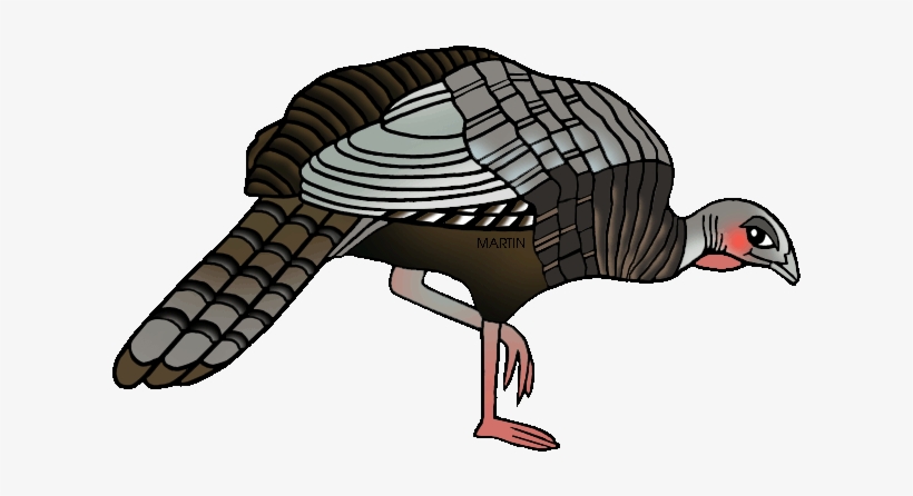 Turkey Png Clipartu200b - Wild Turkey Bird Png PNG Image | Transparent ...