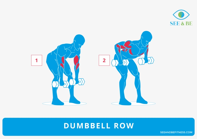 Dumbbell Row, See & Be Fitness Static Cling Decal - Exercise PNG Image ...