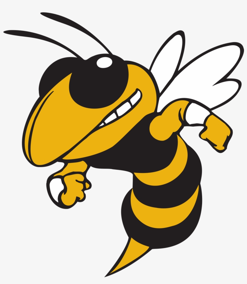 Yellow Jacket Drawing At Getdrawings - Rockmart High School Yellow ...