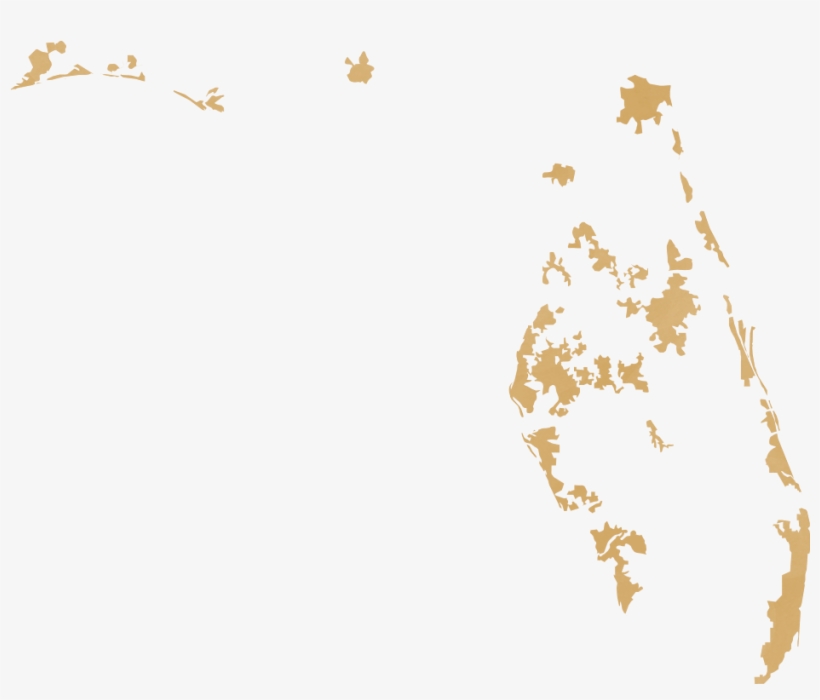 Florida Map Displaying Urban Areas - Florida PNG Image | Transparent ...