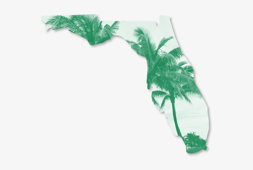 Florida Outline Transparent Green - Florida PNG Image | Transparent PNG ...
