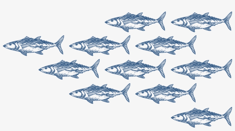 School Of Fishes - Fish PNG Image | Transparent PNG Free Download on ...