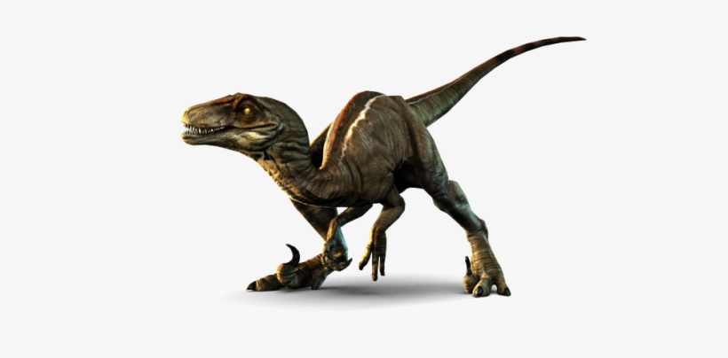 Raptor Png - Primal Carnage Extinction Velociraptor PNG Image ...