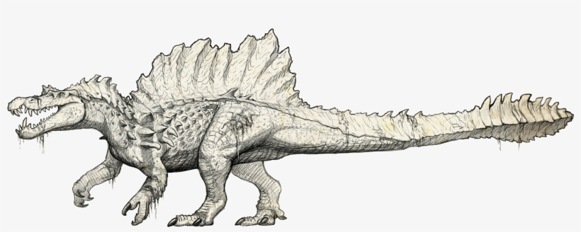 Bagel Drawing Clip Art - Hypo Spinosaurus The Isle PNG Image ...