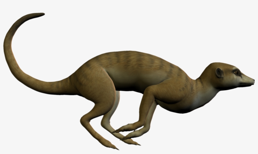 Download Free High Resolution Clipart Images Pio5k5ndt - Clip Art ...