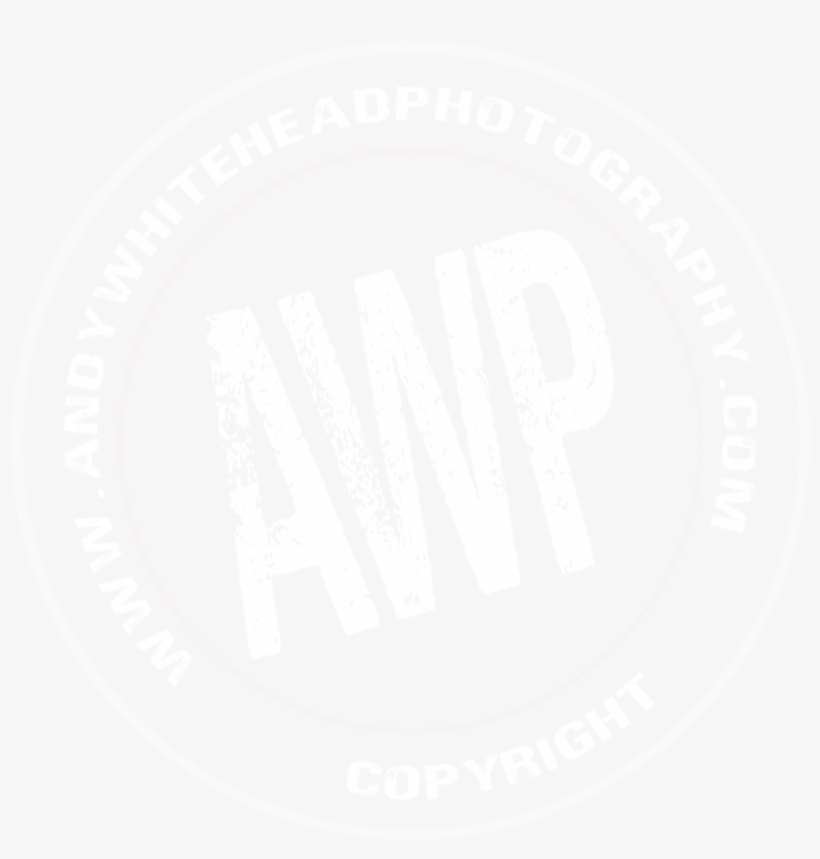 Awp Logo White - Kultkeller PNG Image | Transparent PNG Free Download ...