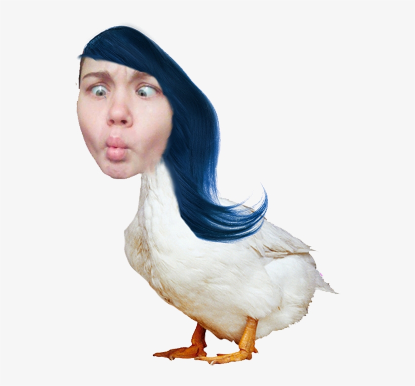 This Media May Contain Sensitive Material - Ducks Calendar 2015: 16 ...