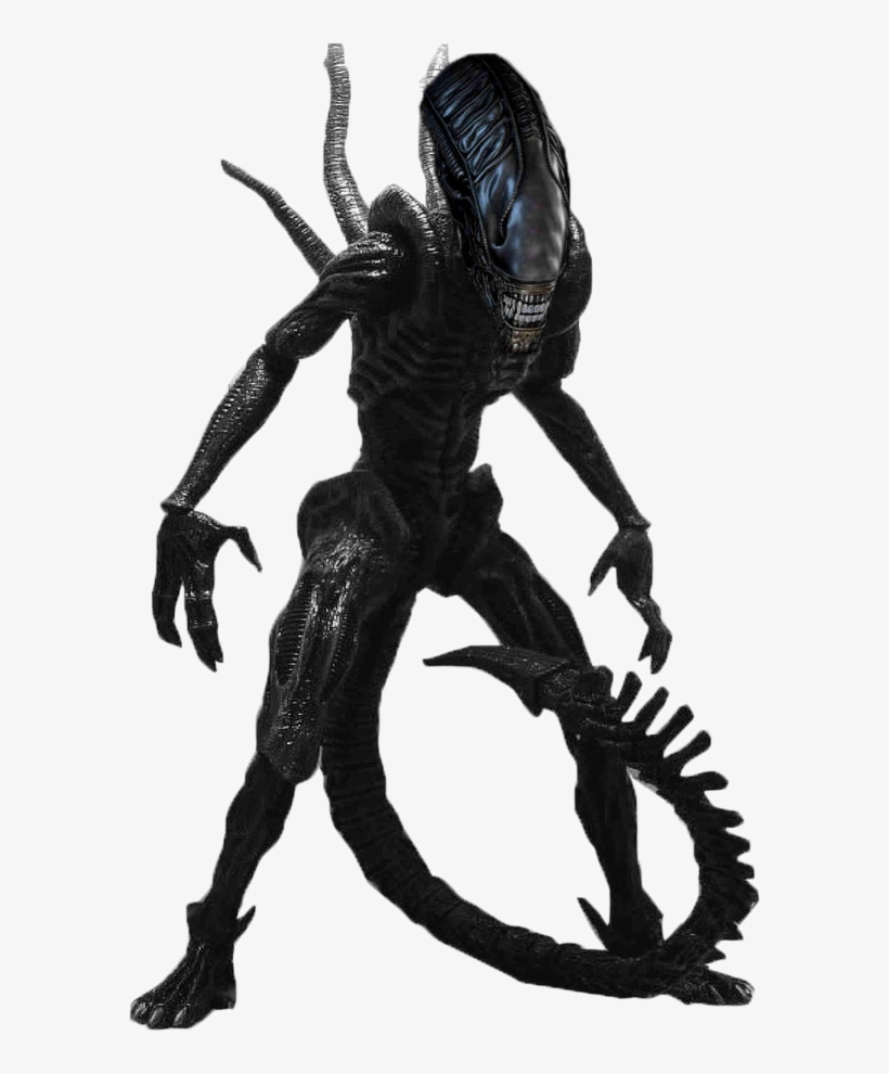 Download Xenomorph - Xenomorph Png | Transparent PNG Download | SeekPNG
