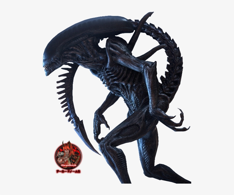 Download Alien Render By Alucardnolife - Alien Xenomorph Png ...