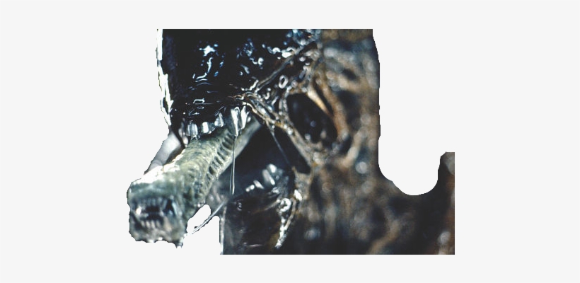 Xeno 2nd Mouth Attack - Alien Vs Predator Alien Mouth PNG Image ...
