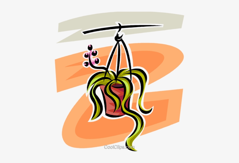 Hanging Plant Royalty Free Vector Clip Art Illustration - Illustration ...