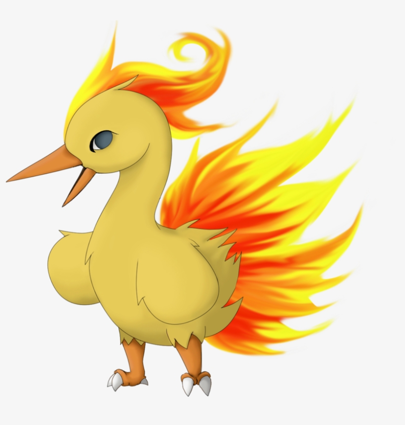 Pre-evo Of Moltres Flaros By Twime777 On Deviantart - Articuno PNG ...