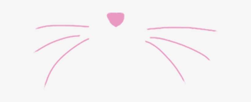 Download Image Royalty Free Download Cat Whiskers Clipart - Cat ...