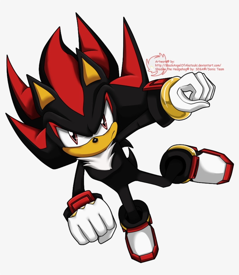 Download Shadow The Hedgehog - Cartoon | Transparent PNG Download | SeekPNG