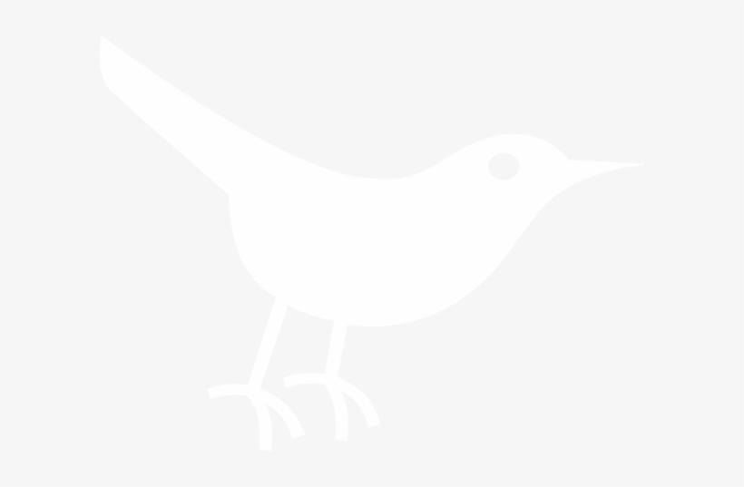 Download White Clipart Twitter - Twitter Bird Icon | Transparent PNG ...