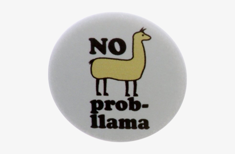 Funny Fridge Magnets PNG Image | Transparent PNG Free Download on SeekPNG