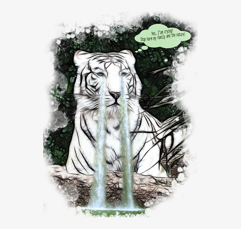 Bleed Area May Not Be Visible - White Tiger Crying PNG Image ...