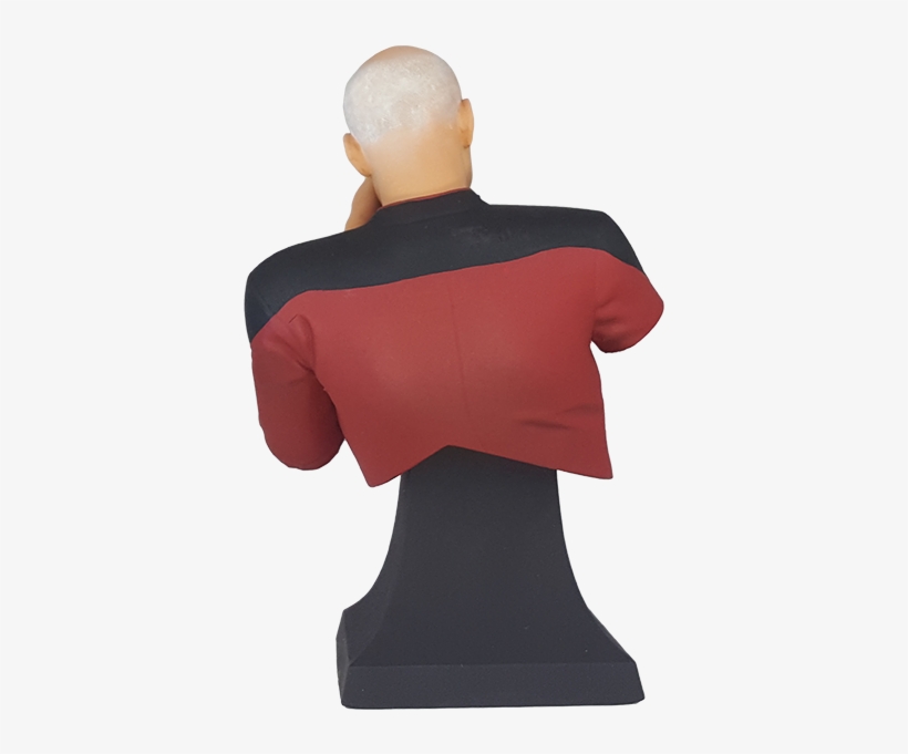 Star Trek The Next Generation Captain Picard Facepalm - Star Trek: The ...