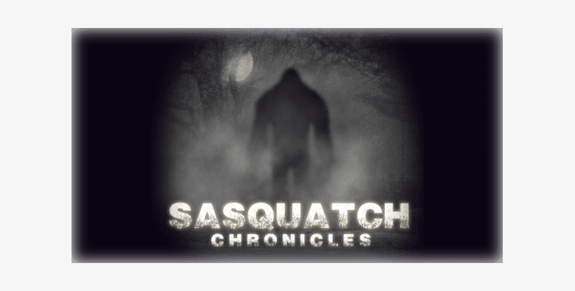 Sasquatch Chronicles Blog - Sasquatch Chronicles PNG Image ...