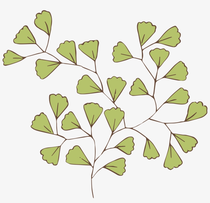 Free Stock Clip Art Vector Black And White Stock - Vintage Greenery PNG ...