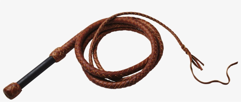 Whip Png PNG Image | Transparent PNG Free Download on SeekPNG