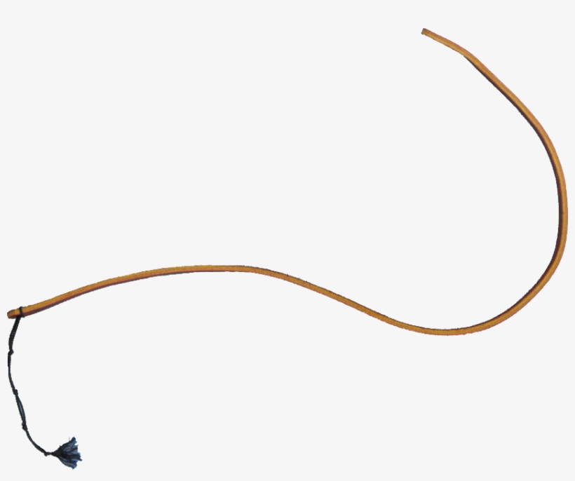 Whip Png Transparent - Whip Transparent PNG Image | Transparent PNG ...