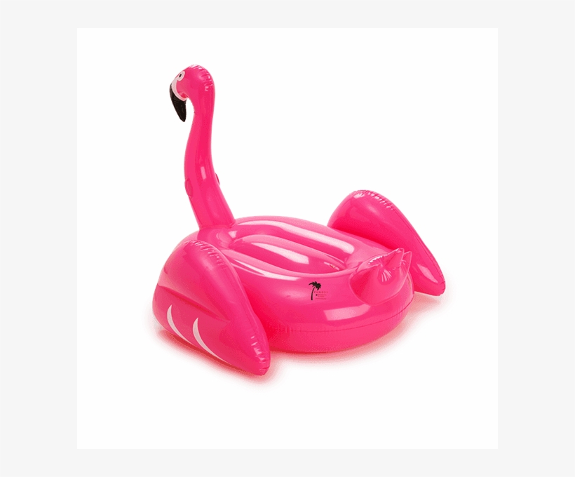 Flamingo Pool Float - Flamingo Floatee Transparent PNG Image ...