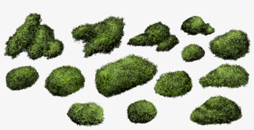 Free Moss Png Svg Freeuse Download - Moss Png PNG Image | Transparent ...