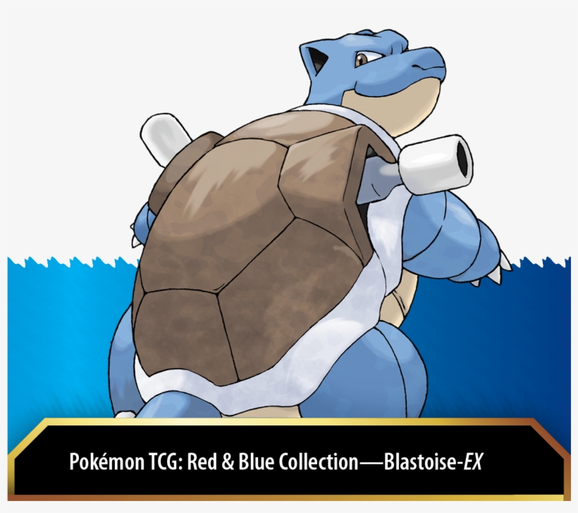 Pokemon Blastoise PNG Image | Transparent PNG Free Download on SeekPNG