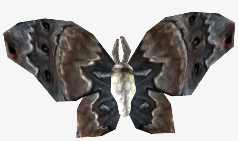 Ancestormoth - Skyrim Ancestor Moth PNG Image | Transparent PNG Free ...
